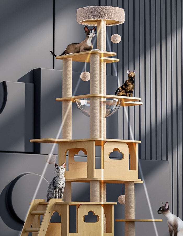Cian Cat Climber, Cat Tree, Wood – Le Di Vita